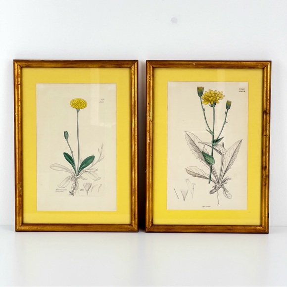 Antique | Art | 837 Antique Botanical Prints Set Of 2 Minimalist ...